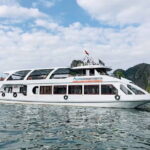 Alova Premium Cruise - Halong Bay Deluxe Day Tour (Best Selling) - What Travelers Love and What Could Be Better