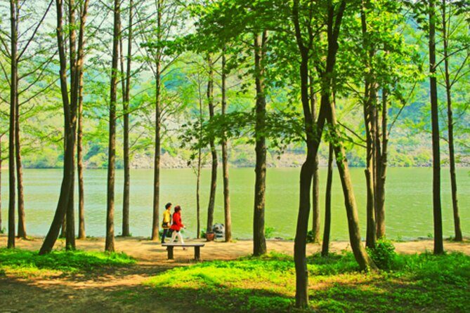 Alpaca World and Nami Island with Gangchon Rail Bike Tour - What the Tour Includes and What You Should Know