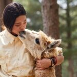 Alpaca World & Nami Island & Garden of Morning Calm One Day Tour - What You Can Expect at Each Location