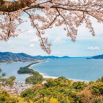 Amanohashidate and Ine Bay Private Trip from Kyoto - The Practicalities: Transportation, Timing, and Value