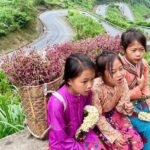 Amazing Ha Giang Motorbike Tour 3 days 2 nights with Easy Rider - A Day-by-Day Breakdown: What to Expect