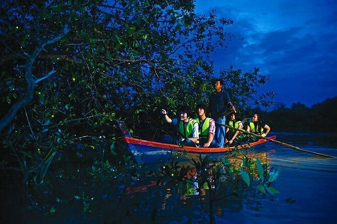 Amazing Kuala Selangor Fireflies Tour - Sic - Why This Tour Offers Good Value