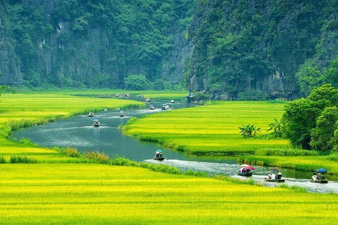Amazing Ninh Binh Full Day: Hoa Lu - Tam Coc (VIP tour: group 7 people) - Lunch: Delicious Local Cuisine