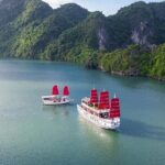 Amazing Sails 5* Luxury 1 Day Tour Halong Bay with 2 way transfer - The Value of This Experience