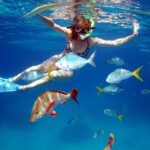 Amazing snorkeling full-day tour to Cozumel Cielo Starfish Reef - Who Should Consider This Tour?