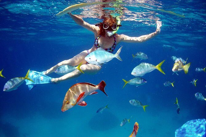 Amazing snorkeling full-day tour to Cozumel Cielo Starfish Reef - Who Should Consider This Tour?