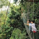 Amazing Taman Negara Day Trip from Kuala Lumpur Including Lunch - In-Depth Look at the Itinerary
