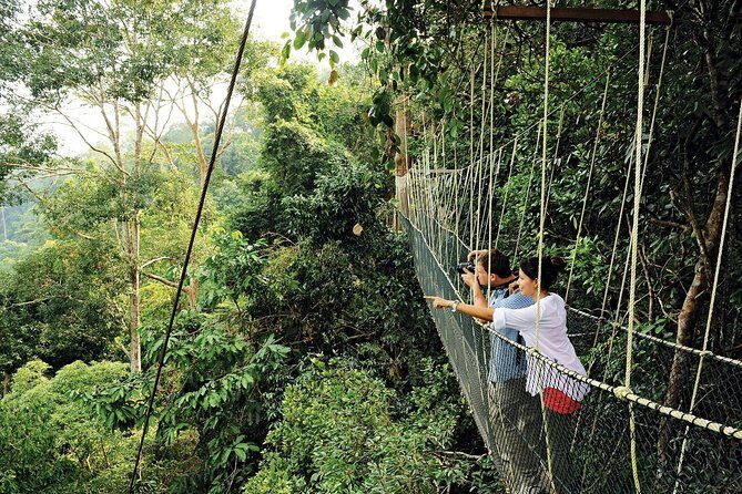 Amazing Taman Negara Day Trip from Kuala Lumpur Including Lunch - In-Depth Look at the Itinerary