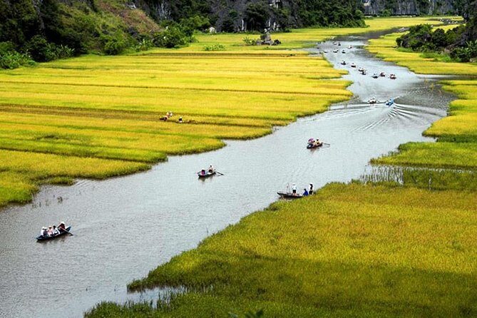 Amazing Trang An Bich Dong Pagoda Day Tour - The Journey: From Hanoi to Natural & Cultural Treasures