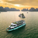 AMETHYST DAY CRUISE - Most Luxury Day Tour from TUAN CHAU HARBOR - Key Points