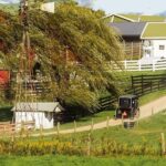 Amish Experience Visit-In-Person Tour - Is the Price Worth It?