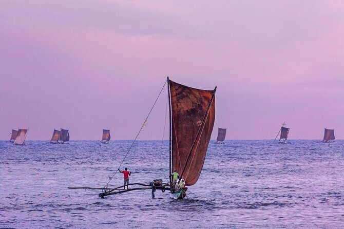 An amazing Beach Tour in Sri Lanka - What Travelers Say About the Tour