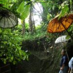 An Eco-Walk through Green Bali - Who Will Enjoy This Tour?