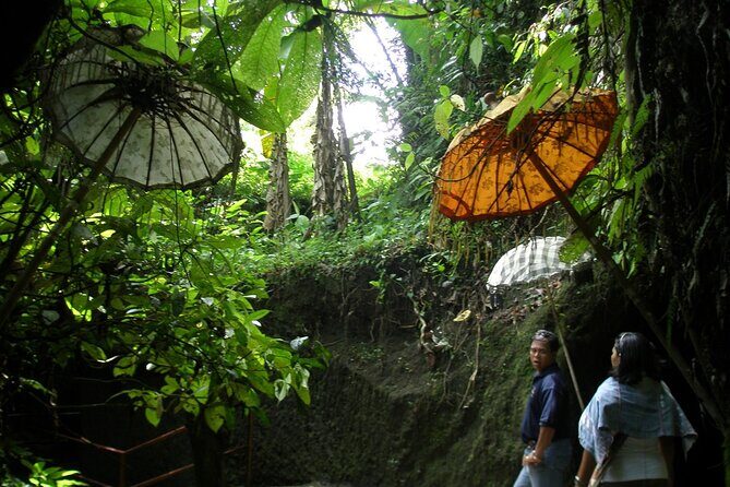 An Eco-Walk through Green Bali - Who Will Enjoy This Tour?