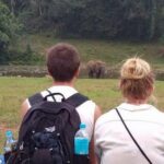 Anakulam Wild Elephant Village life tour ( By Munnar Info) - Authentic Experiences & Value