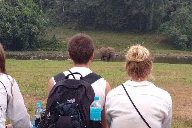 Anakulam Wild Elephant Village life tour ( By Munnar Info) - Authentic Experiences & Value