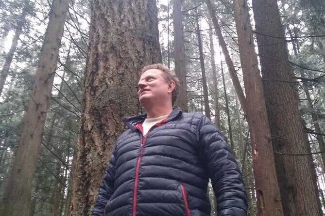 Ancient Forest , Waterfalls and Stunning Vistas Day Tour - Practicalities and Value