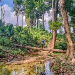 Ancient Lava Stream Trek through dense Tropical forest. - A Hands-On Adventure with a Physical Edge