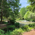 Andong: UNESCO Sites, Mask Dance, and Stunning night View - Why the Tour Is Worth It