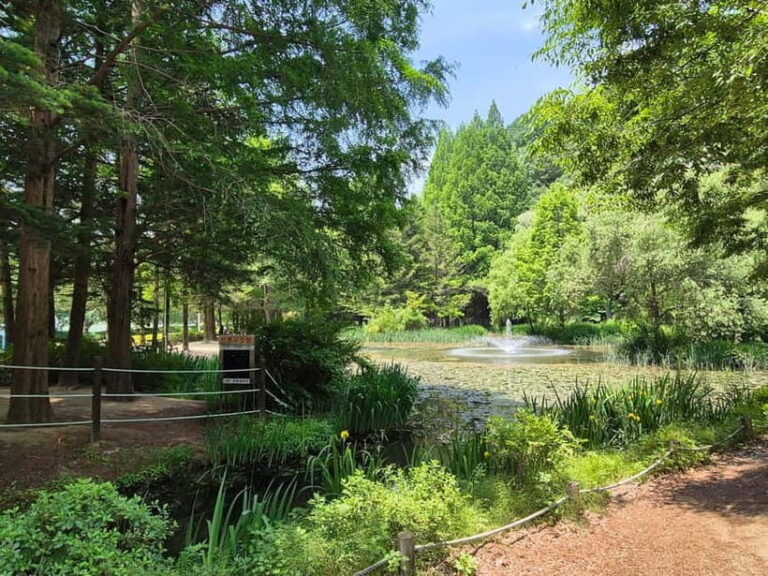 Andong: UNESCO Sites, Mask Dance, and Stunning night View - Why the Tour Is Worth It