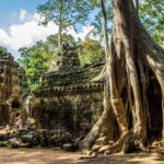 Angkor full day tour (Full intense day to discover the most) - What’s Included and What’s Not