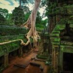 Angkor temples Tour - Stop 1: Angkor Archaeological Park