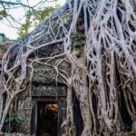 Angkor Wat 1Day Tour With Sunrise - Key Points