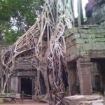 Angkor Wat 2-Day Tour - What Makes This Tour Stand Out?