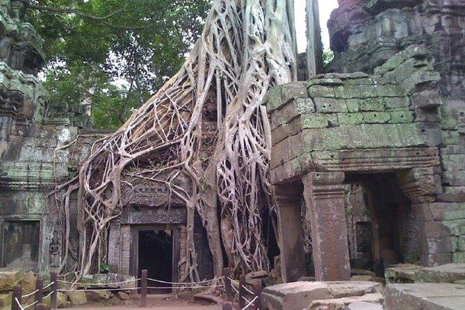 Angkor Wat 2-Day Tour - What Makes This Tour Stand Out?