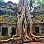 Angkor Wat Sunrise With Tours Experience Driver - What’s Included and What’s Not