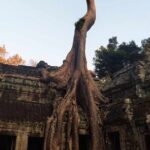 Angkor Wat, Ta Prohm, Angkor Thom & Phnom Bakheng Sunset Tours - Who Should Consider This Tour?