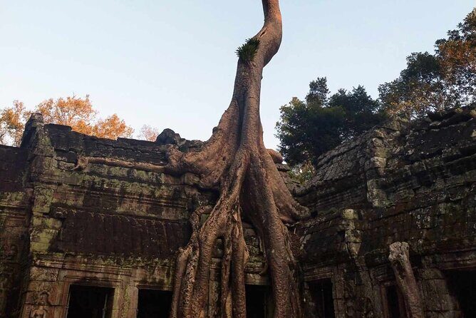Angkor Wat, Ta Prohm, Angkor Thom & Phnom Bakheng Sunset Tours - Who Should Consider This Tour?