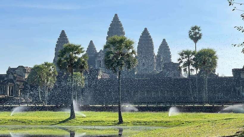 Angkor Wat Temples & Kulen Elephant Forest Day Tour - The Practical Side of the Tour