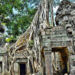 Angkor Wat Temples & Tonle Sap Lake Private Day Tour - Why This Tour Works Well