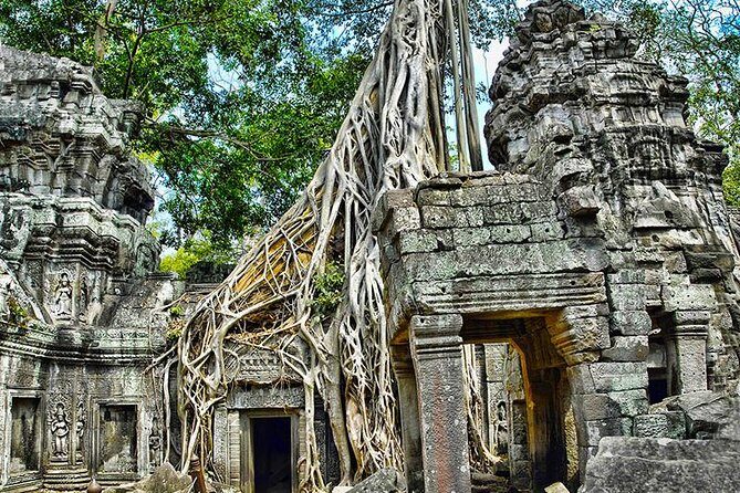 Angkor Wat Temples & Tonle Sap Lake Private Day Tour - Why This Tour Works Well