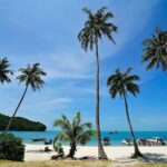 Angthong National Marine Park by Speed Boat with Snorkeling & Kayaking - Who Should Consider This Tour?