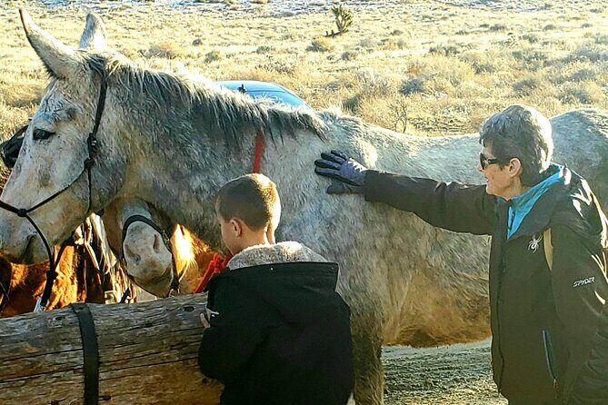 Animal Petting and Sunset Hike in Las Vegas - Practical Tips for Travelers