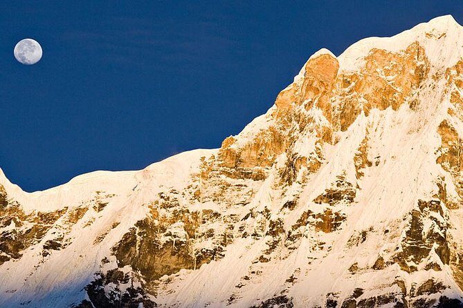 Annapurna Base Camp Trek- 11 Days - Authentic Experiences & Insights from Travelers