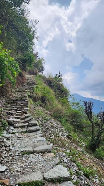 Annapurna Base Camp Trek: 12-Day Guided Tour - Detailed Review