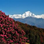 Annapurna Base Camp trek - The Experience: What You’ll Love