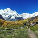 Annapurna Base Camp Trek and Chitwan Excursion - How Does the Tour Truly Deliver Value?