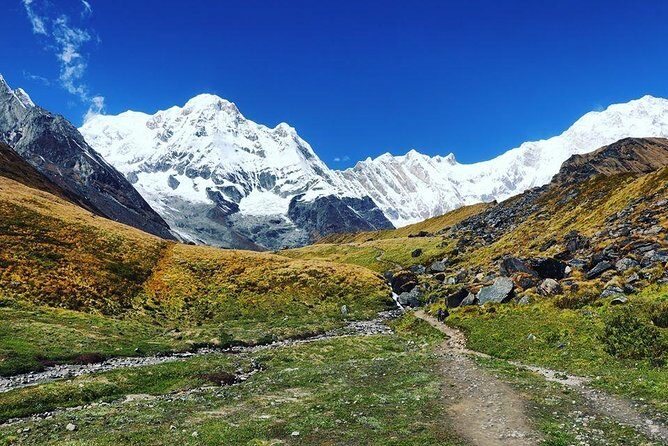 Annapurna Base Camp Trek and Chitwan Excursion - How Does the Tour Truly Deliver Value?