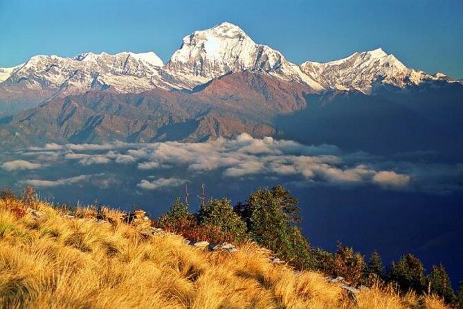 Annapurna Ghorepani Poonhill Trekking - Key Points: