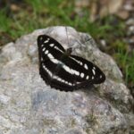 Annapurna Mini Trek - Day 7: Return to Kathmandu