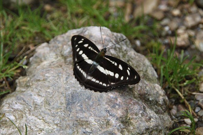 Annapurna Mini Trek - Day 7: Return to Kathmandu