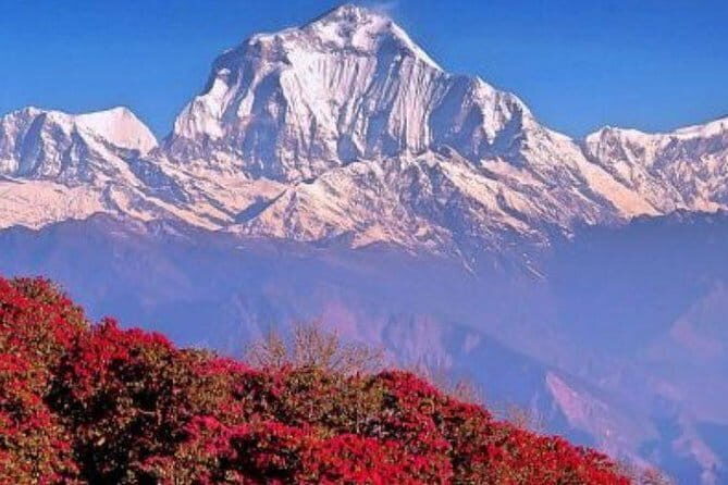 Annapurna Poon hill Sunrise Trek - What Makes This Trek Special?