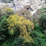 Annapurna Trekking - What Makes This Trek Special?