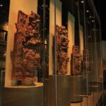 Anthropology Museum Early Access Tour - Why This Tour Adds Value