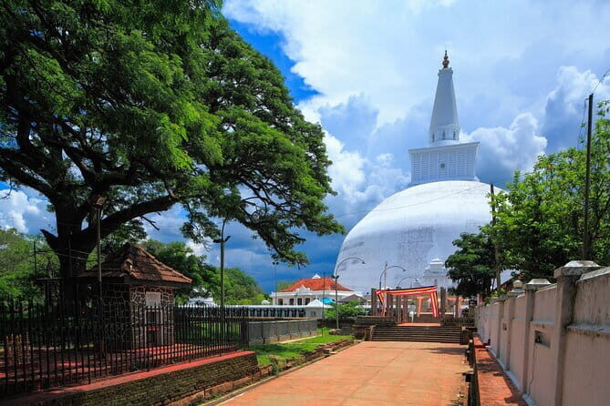 Anuradhapura Buddhist Icons Tour from Habarana - What to Expect from the Experience