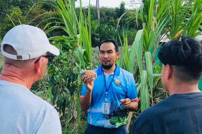 Aonang Cultural Exploration on Temple, Market and Thai Visit - Who Will Appreciate This Tour?